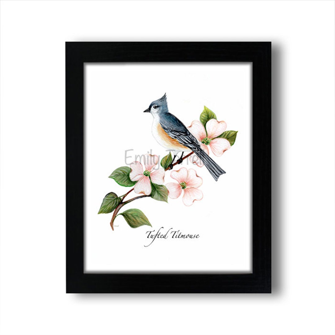 Tufted Titmouse Bird Print, Bird Tile, Bird Hanging Tile, Ceramic Tile ...