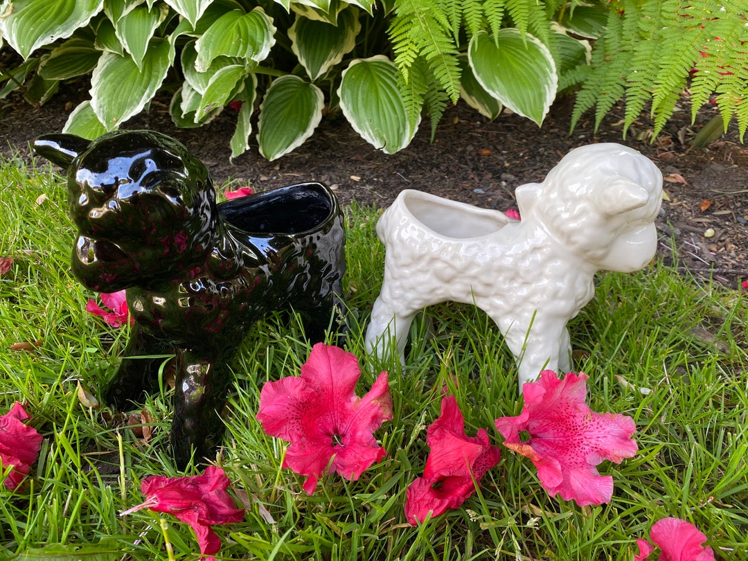 Two of the Sweetest Lamb Planters. Delightfully Detailed and Just Too ...