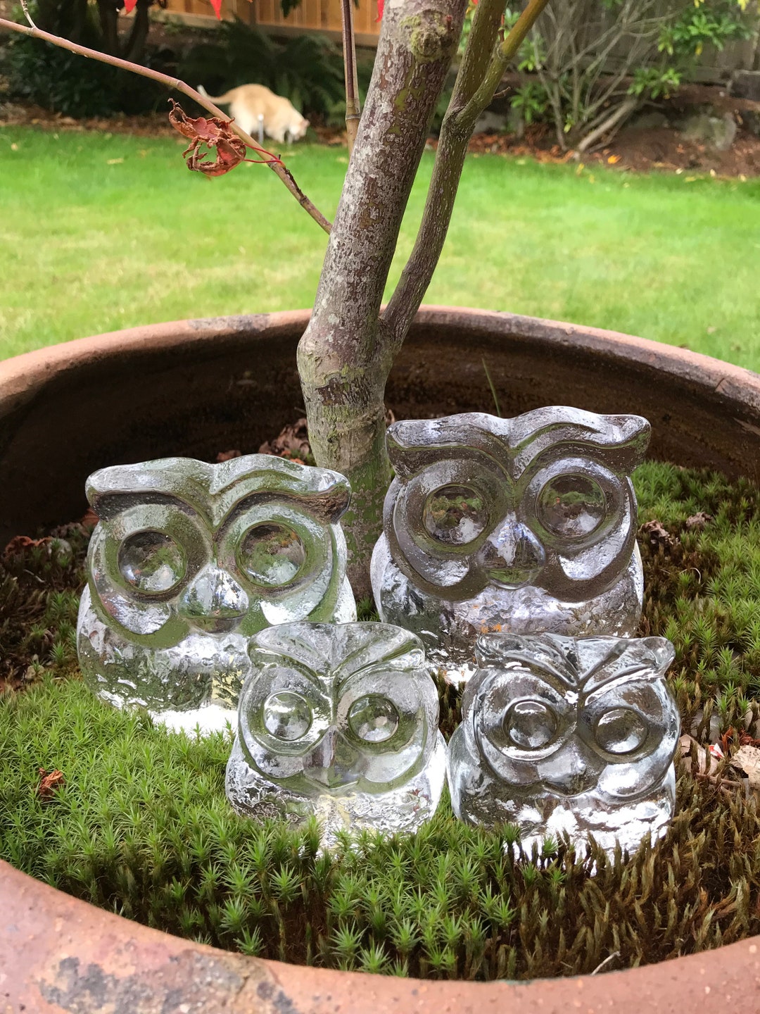 Four Fabulous Heavy Swedish Full Lead Crystal Owls. Lars Hellsten Skruf ...