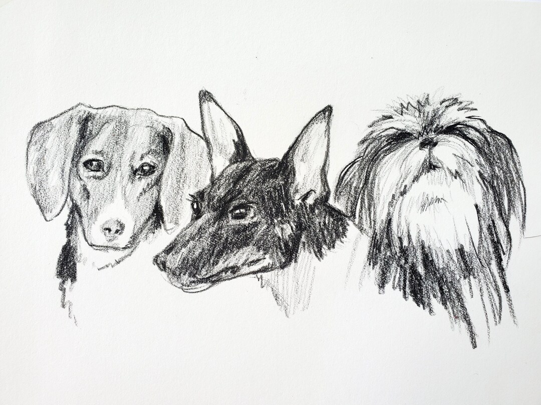 Three Dog Night! Dog Sketches, Illustrations by Cathy Johnson - Etsy