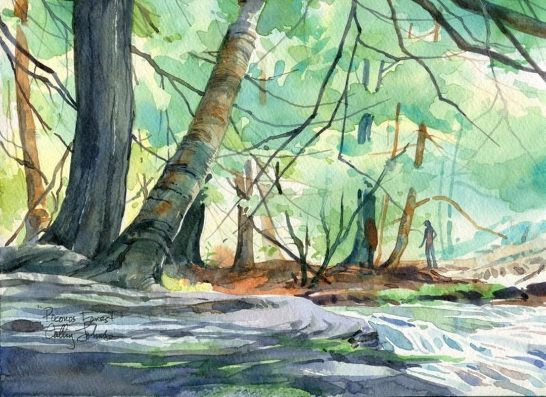 Pennsylvania Forest - Promised Land State Park Print of an Original ...