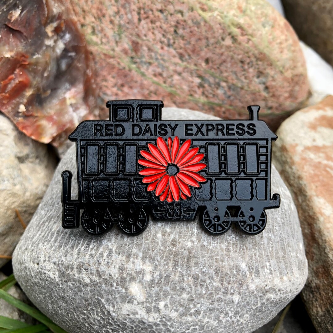 Red Daisy Murder Train billy Strings - Etsy