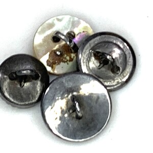 19th Century Antique Cut Steel Buttons, Austrian Tiny, Carved Mother of ...