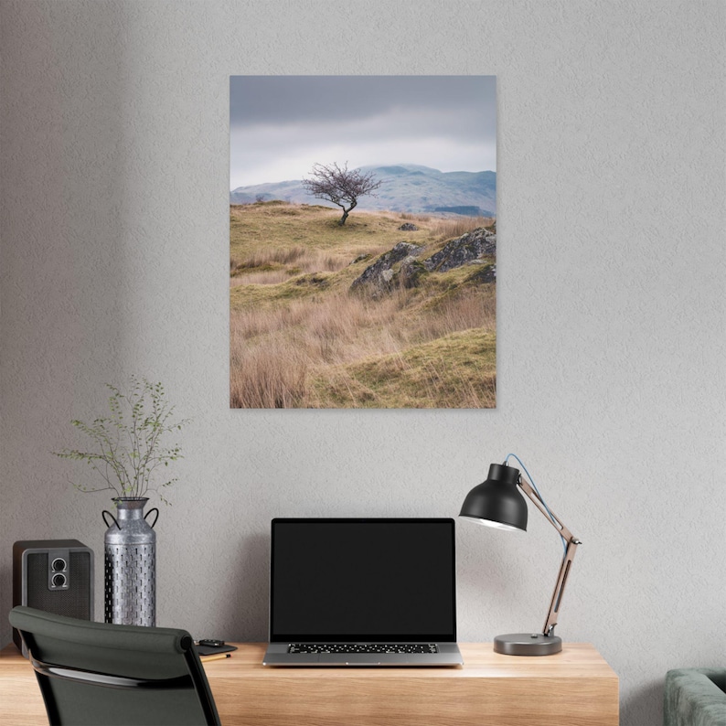 Lone Rowan Tree Landscape Canvas Print | Lake District, Corvellea House ...