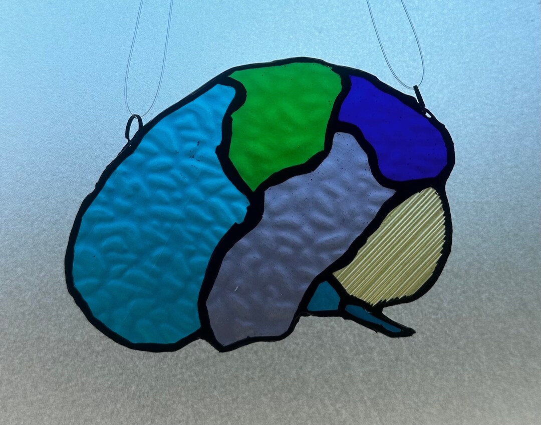Brain Stained Glass Suncatchers - Etsy