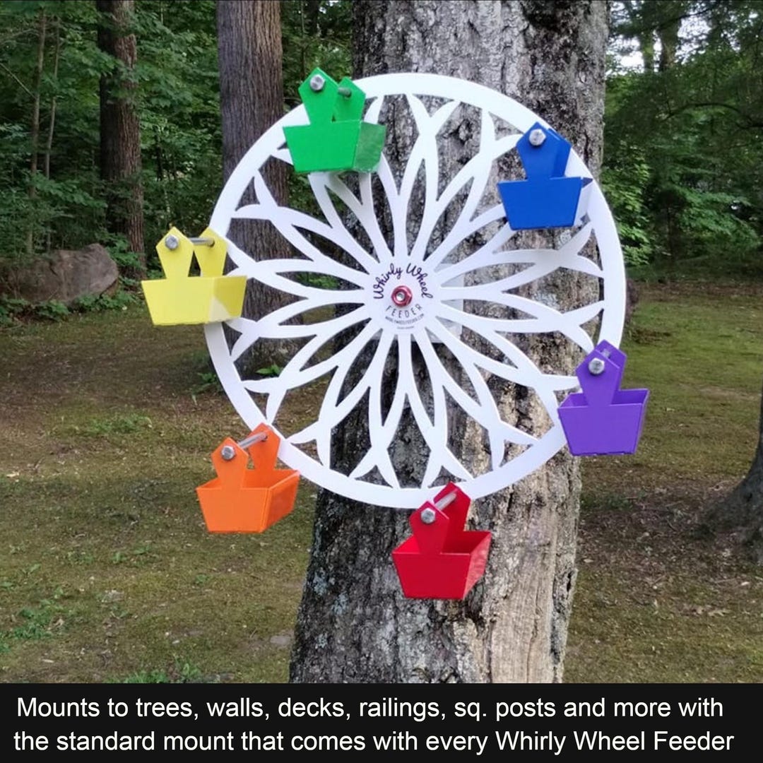A Colorful Spinning Bird Feeder Enjoy Hours of Entertainment Watching ...
