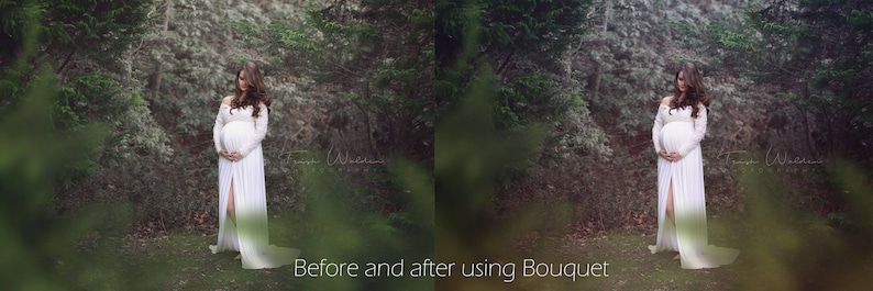 Dreamy Soft Light Overlays - Etsy