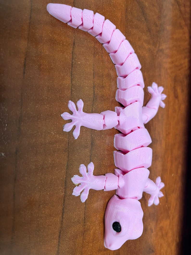 3D Printer Lizard Fidget Desk Toy - Etsy