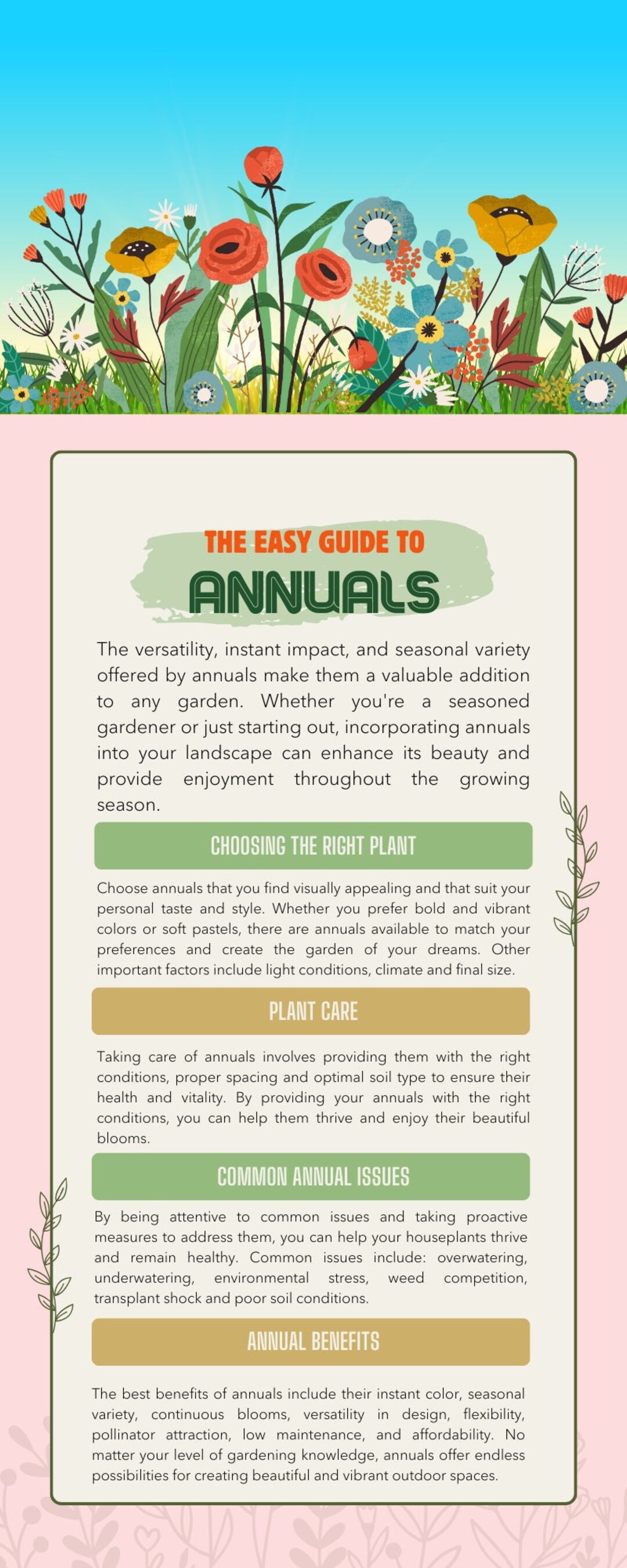 Bundle: Common Annuals Care Guide, Sunflower, Marigold, Geranium ...