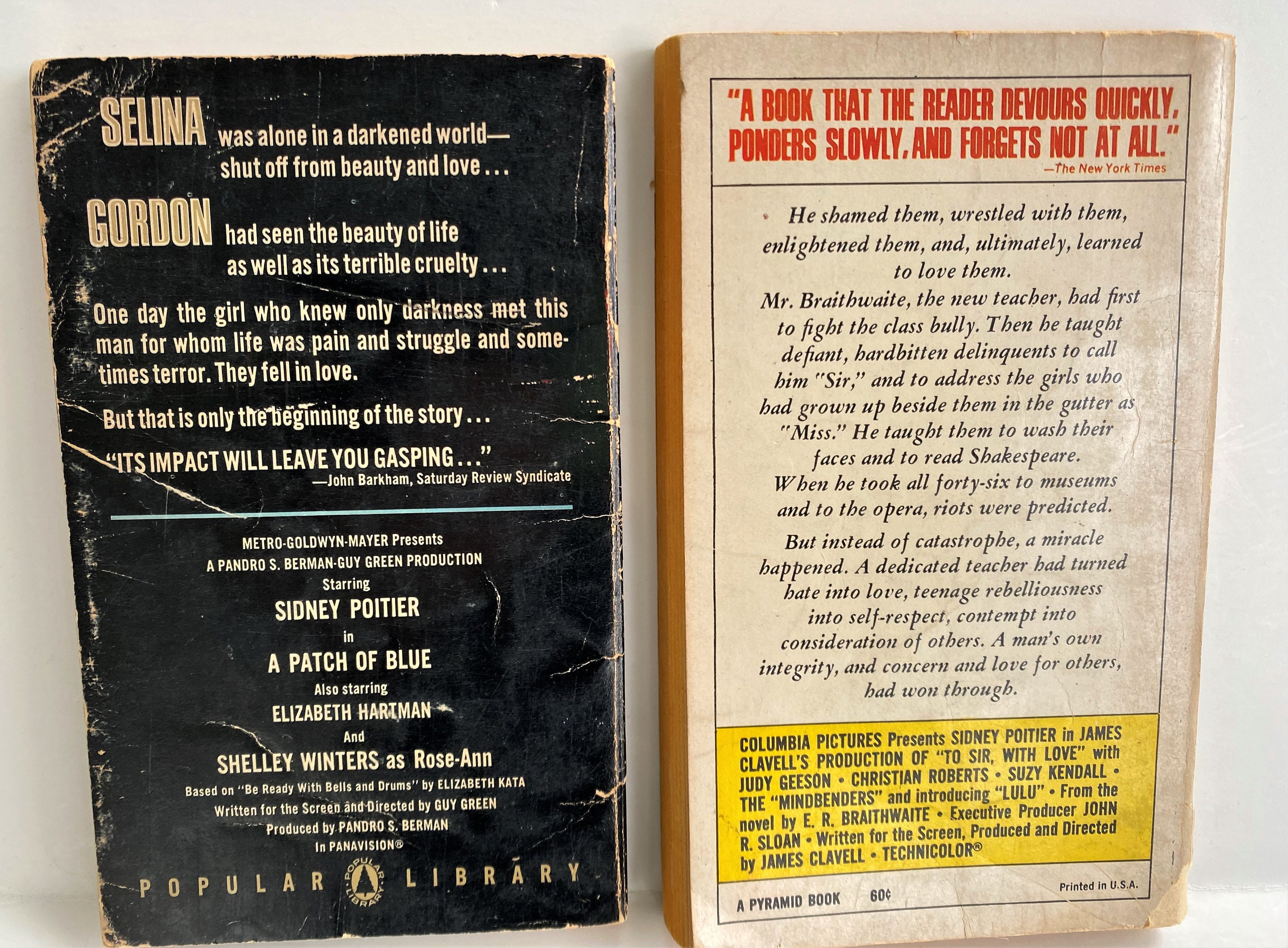 A Patch Of Blue Book