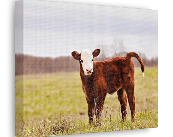 Black Angus Cow Calf Pair Cow Quote Scented Soy Candle 9oz - Etsy