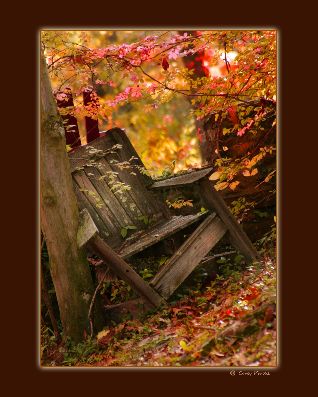 Fall Season Photo Abandoned Chair in Woods Wall Art - Etsy