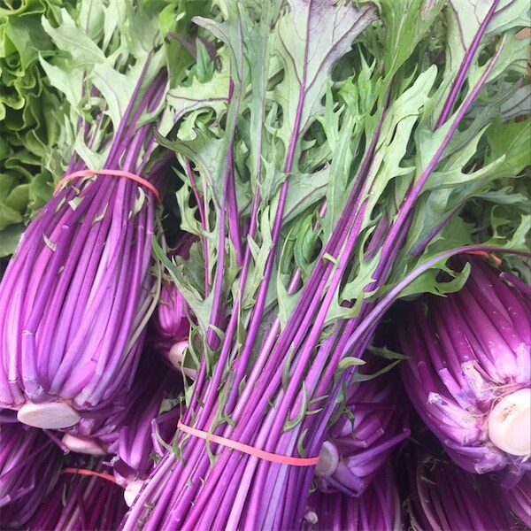 Rare Vegetable Seeds - Etsy