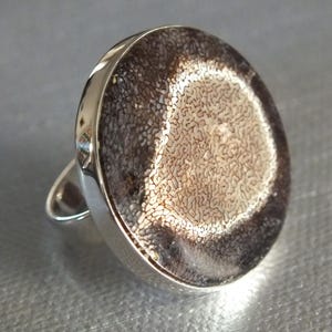 Super Colossal Bone Marrow Dinosaur Gem Bone Sterling Silver Ring ...