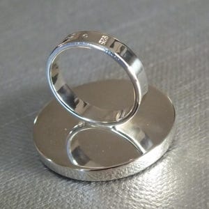 Super Colossal Bone Marrow Dinosaur Gem Bone Sterling Silver Ring ...