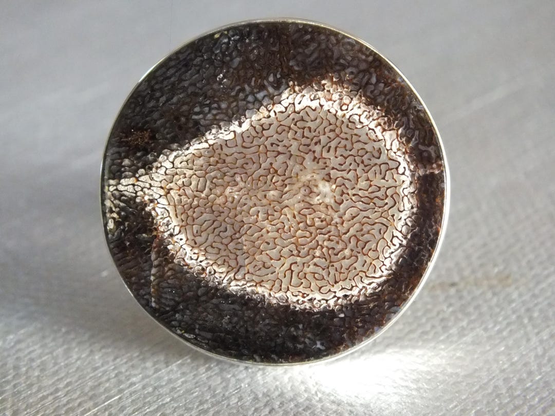 Super Colossal Bone Marrow Dinosaur Gem Bone Sterling Silver Ring ...
