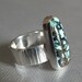 Poseidon Variscite Sterling Silver Handmade Ring Metalsmith James ...