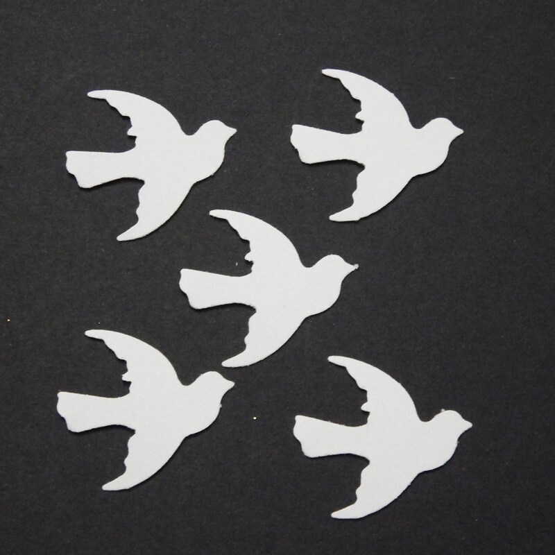 Bird Confetti - Etsy