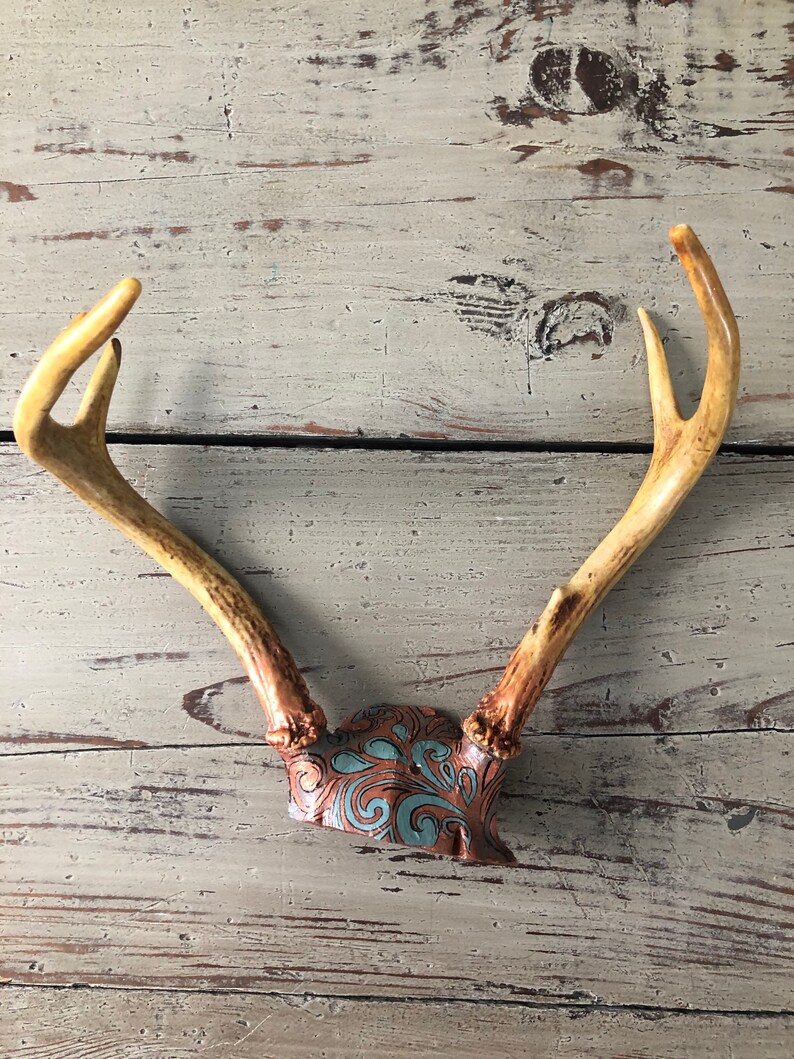 Real Deer Antler Rack Hand Painted Copper and Teal - Etsy