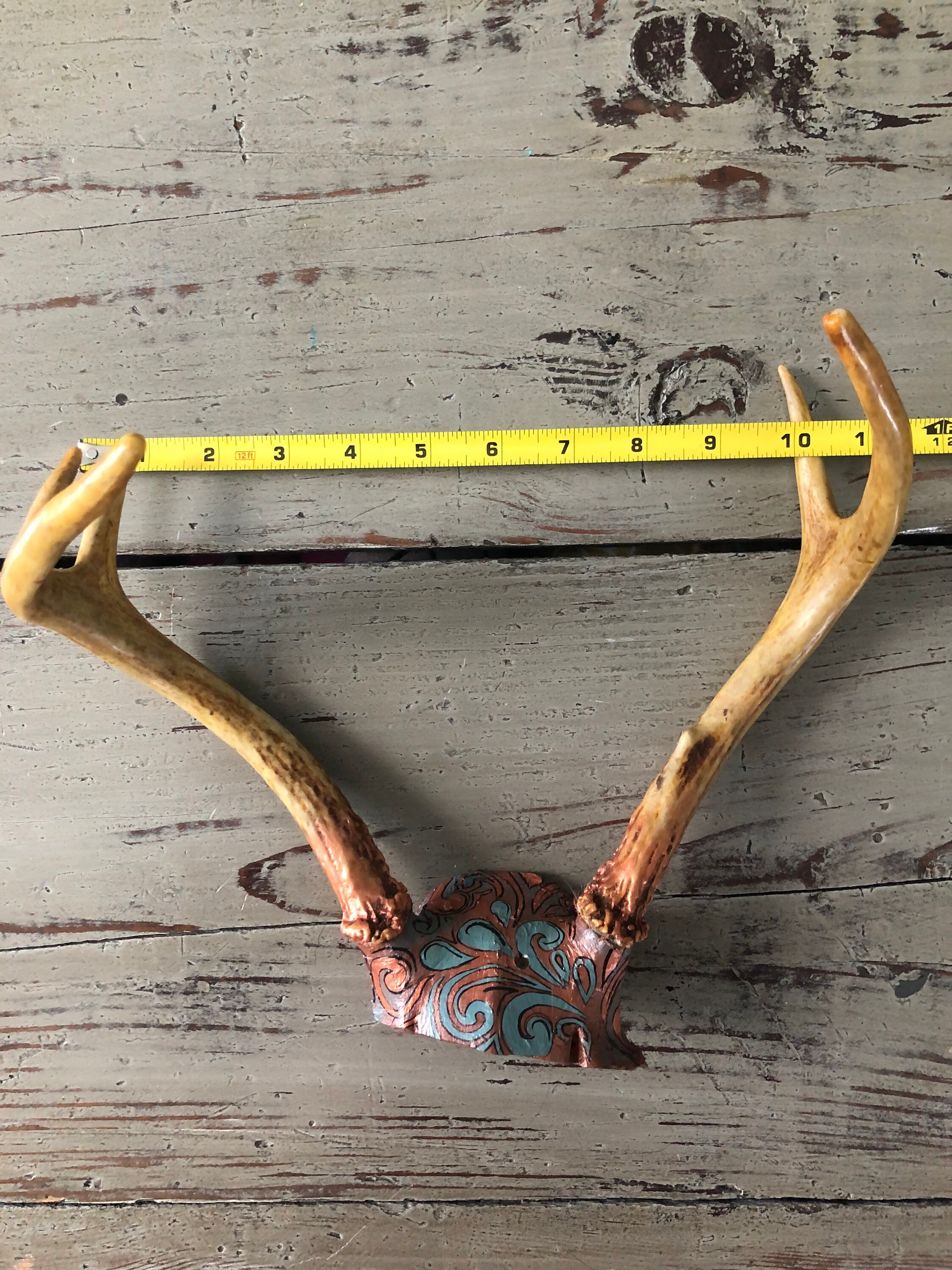 Real Deer Antler Rack Hand Painted Copper and Teal - Etsy