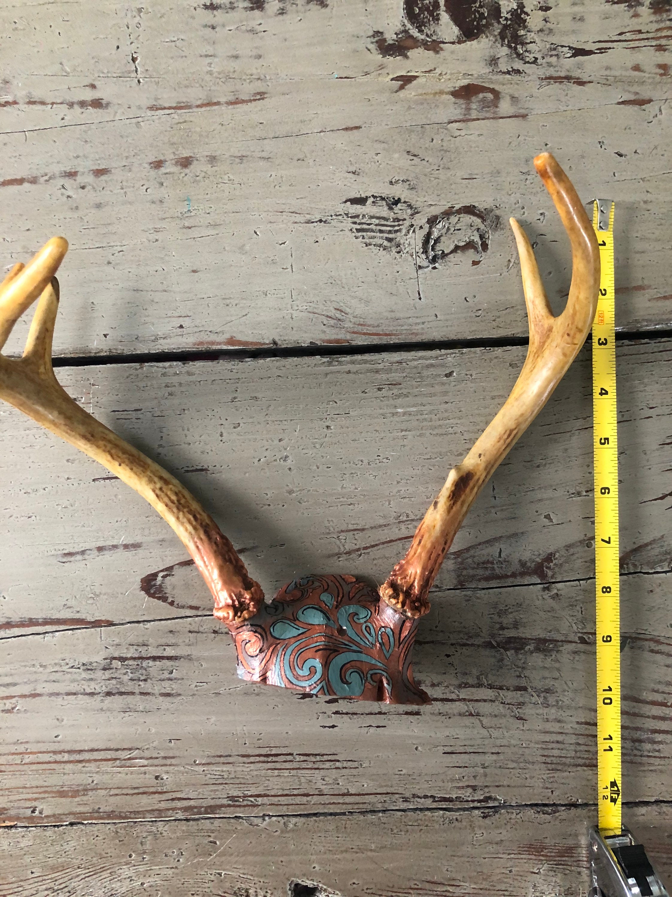 Real Deer Antler Rack Hand Painted Copper and Teal - Etsy