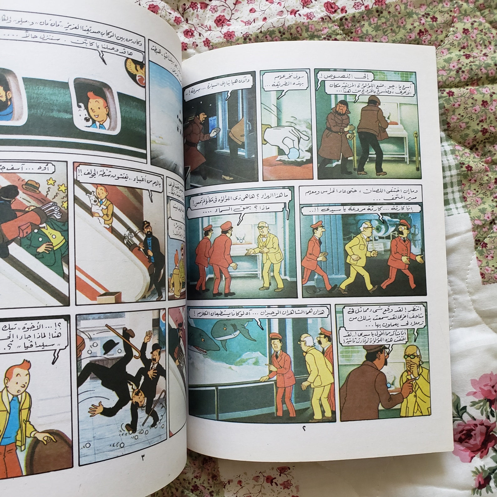 Arabic-Children Comic Book-Tintin The Lake Of Sharks تان تان و | Etsy