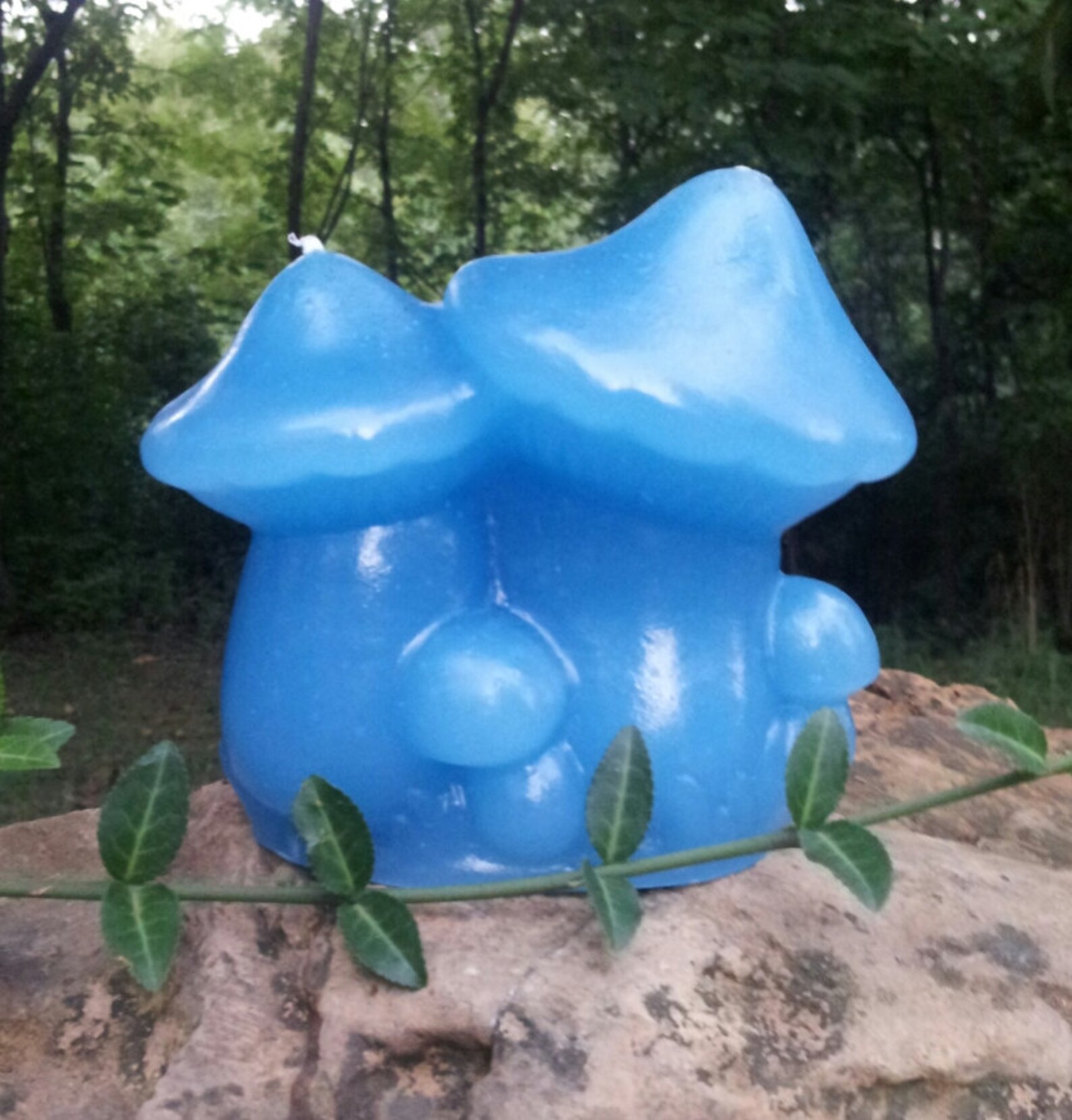 Cluster Mushroom Candle 2 Wick - Etsy