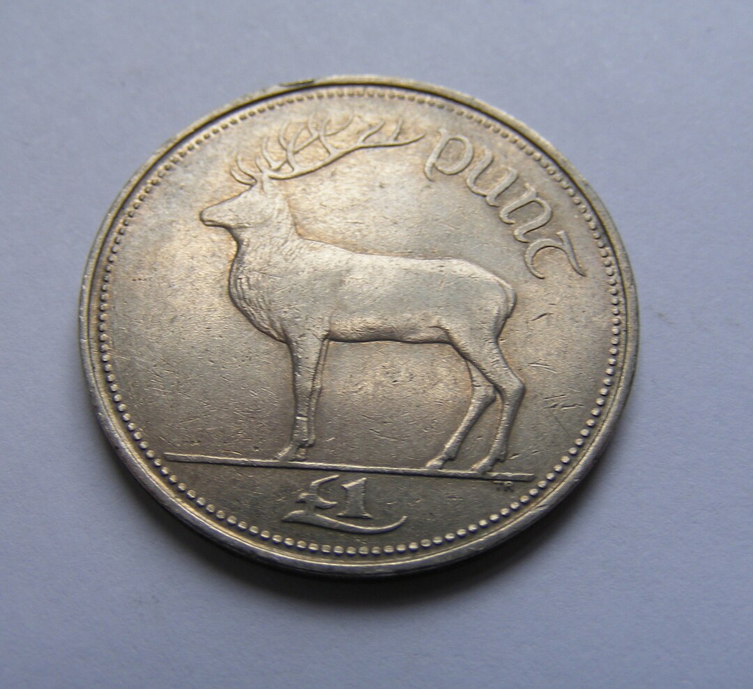 Irish 1990 One Pound Coin Old Vintage Ireland First Year Issued - Etsy