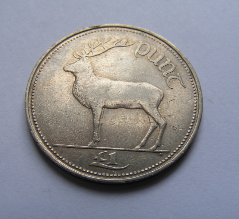 Irish 1990 One Pound Coin Old Vintage Ireland First Year Issued - Etsy