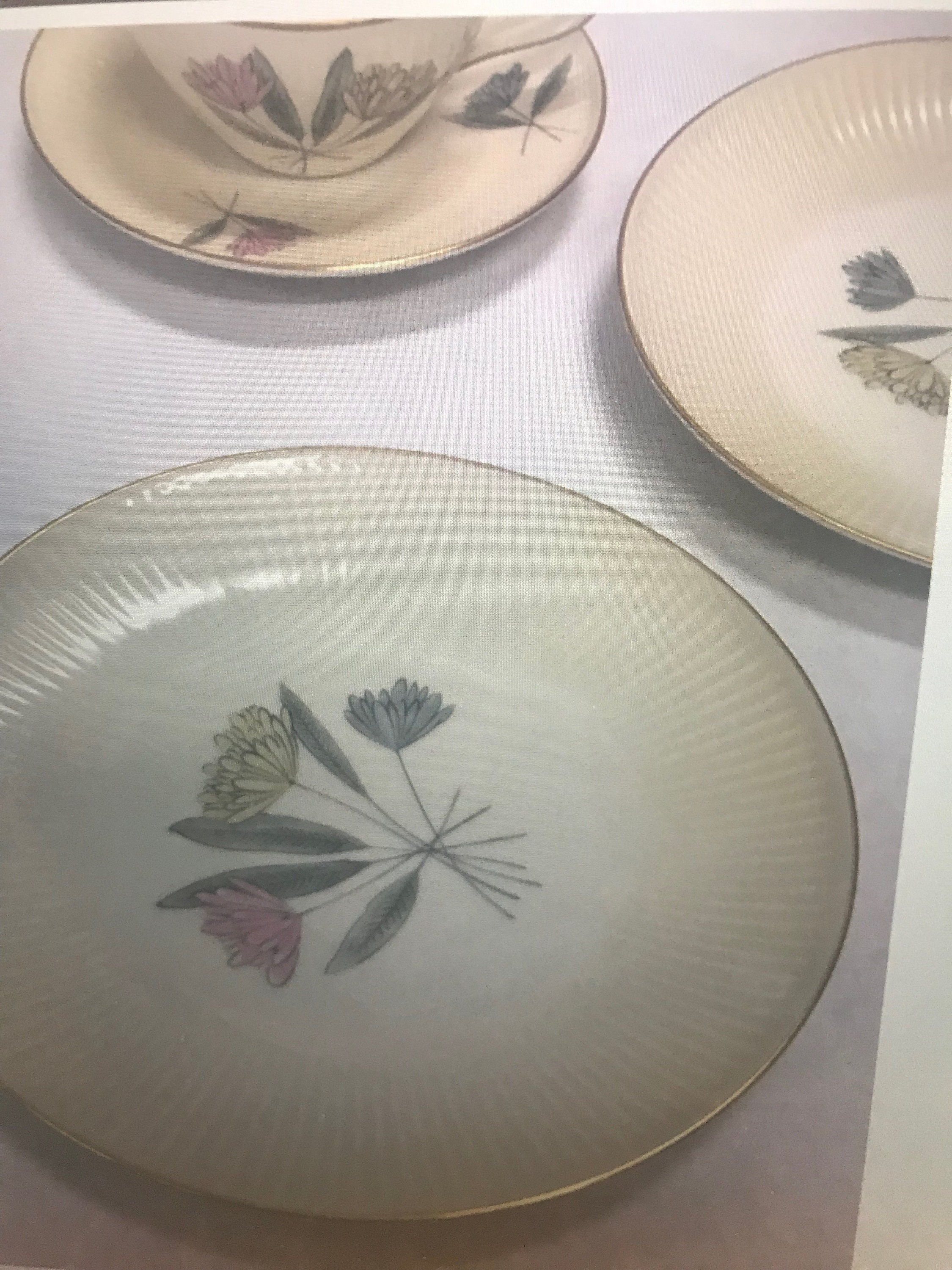 VINTAGE Thomas Germany China Lot 14 Pcs. Flower Cup Saucer Plate Mid ...