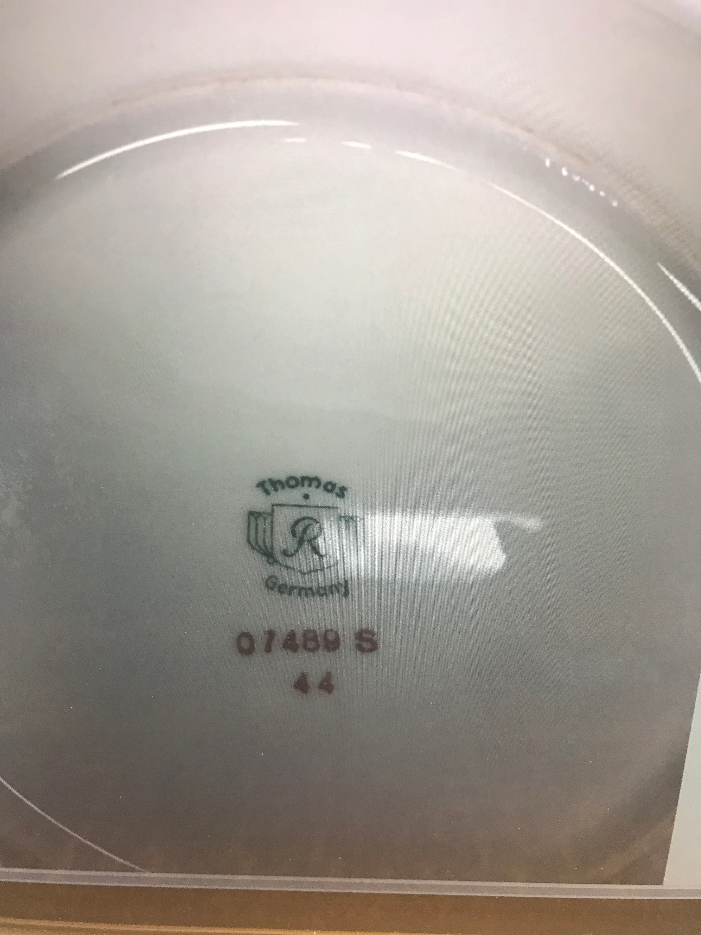 VINTAGE Thomas Germany China Lot 14 Pcs. Flower Cup Saucer Plate Mid ...