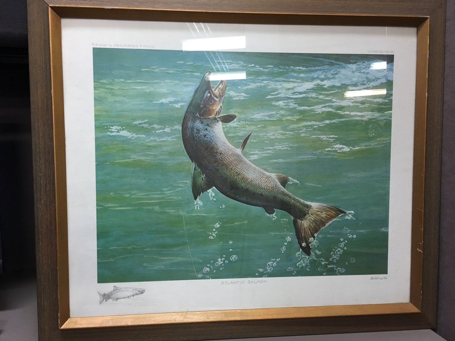 Atlantic Salmon Original Print and National Fish Stamps Signed Bob ...