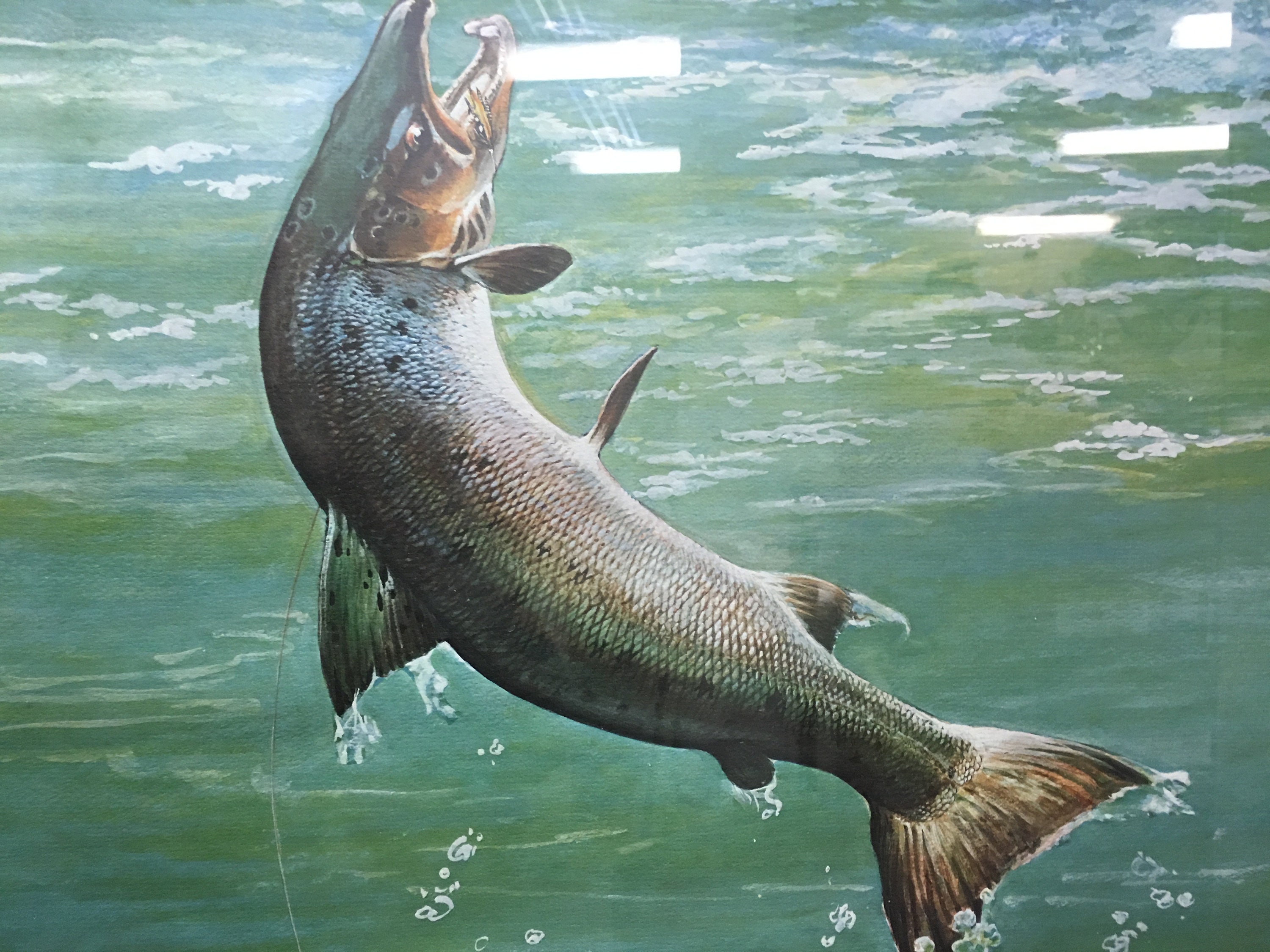 Atlantic Salmon Original Print and National Fish Stamps Signed Bob ...