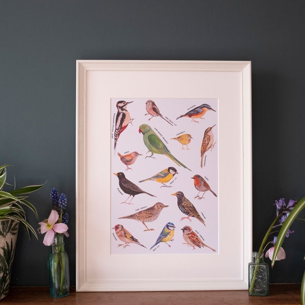British Birds Poster - Etsy UK