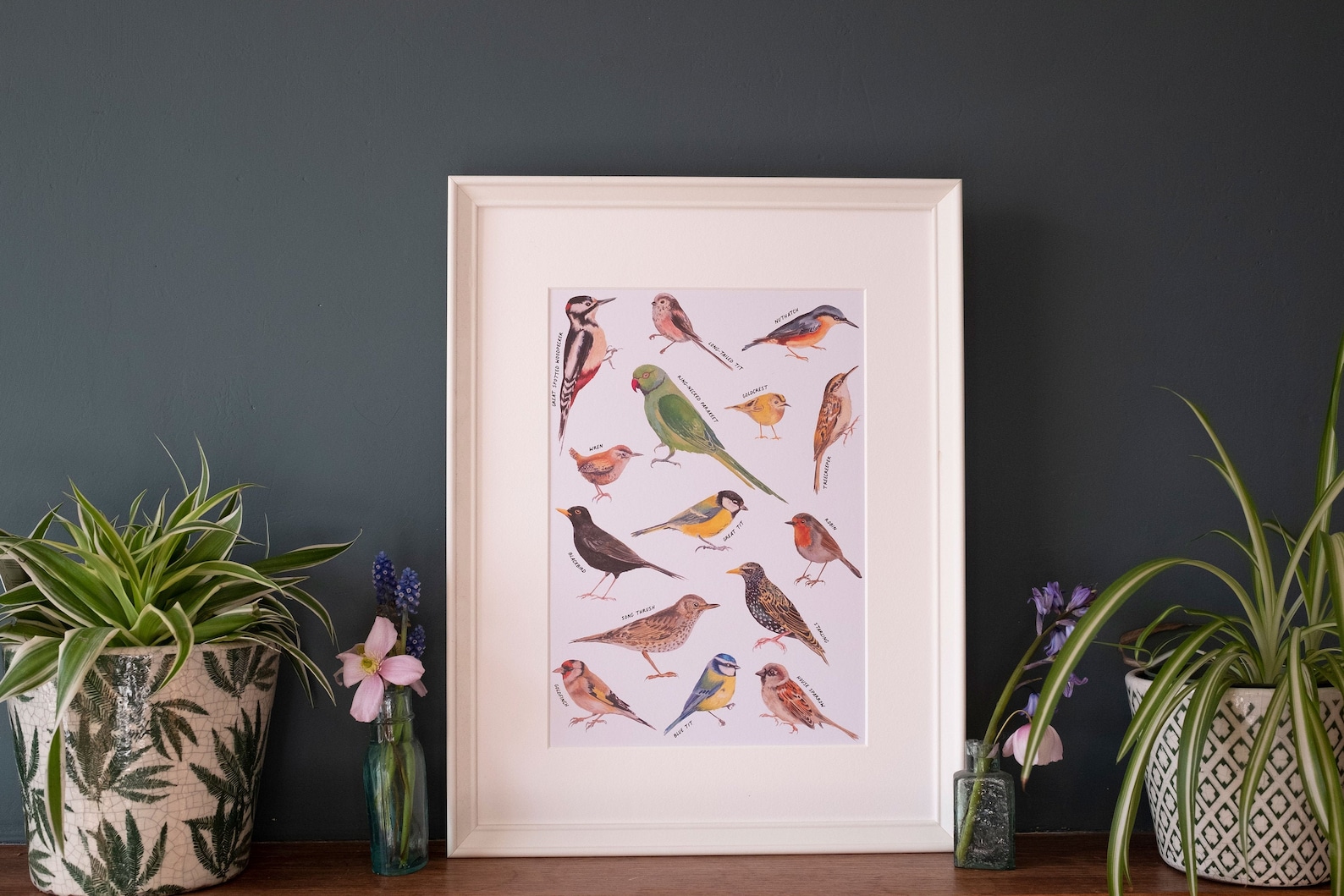 British Birds A4 Print - Etsy