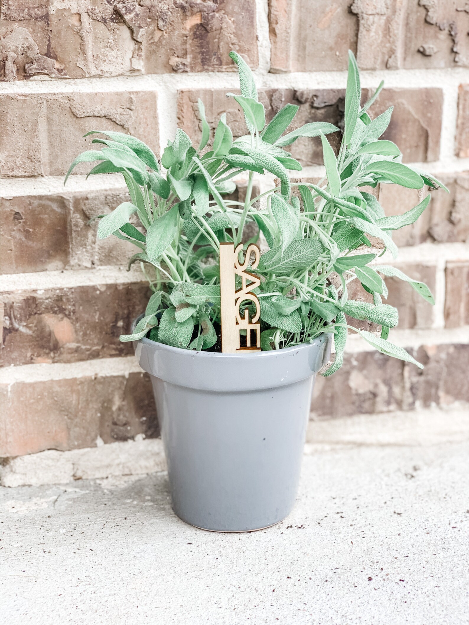 Plant Labels SOLID WOOD - Etsy