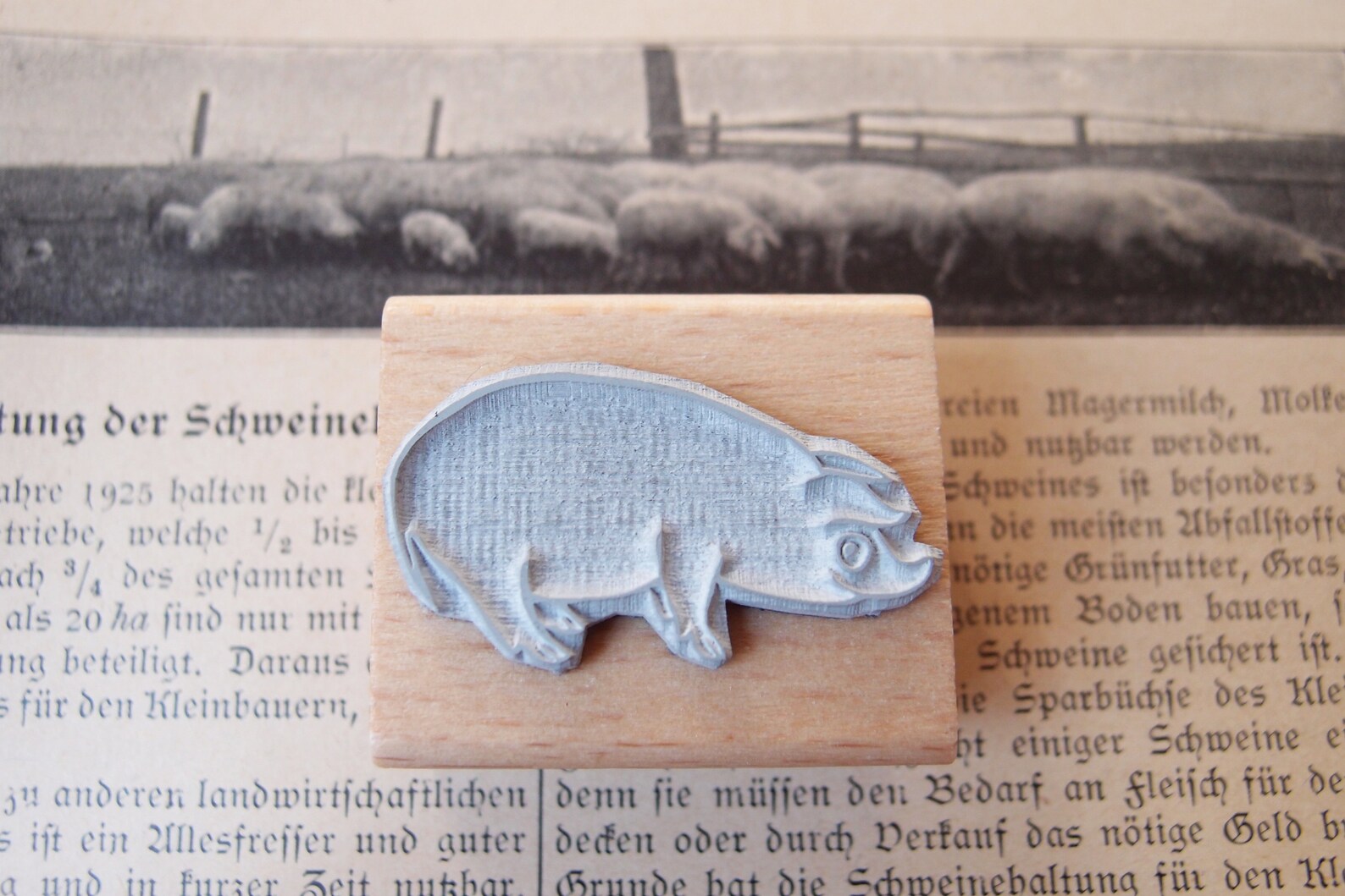 Pig Stamp - Etsy