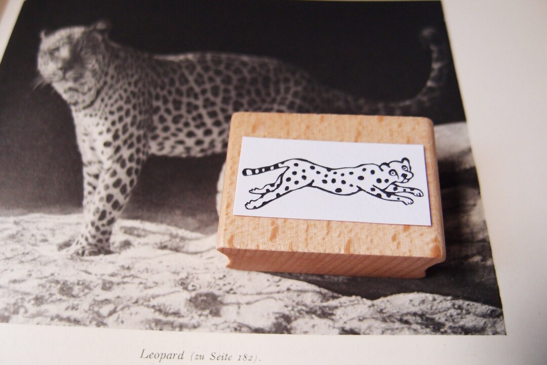Cheetah Stamp - Etsy