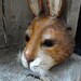 Paper Mache Rabbit Mask Rabbit Costume Bunny Mask Bunny - Etsy