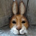 Paper Mache Rabbit Mask Rabbit Costume Bunny Mask Bunny - Etsy