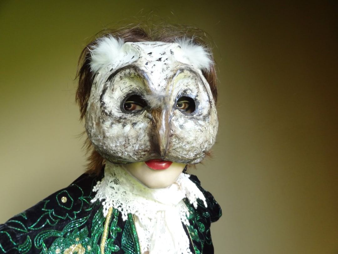 Paper Mache Owl Mask, Owl Costume, Bird Mask - Etsy