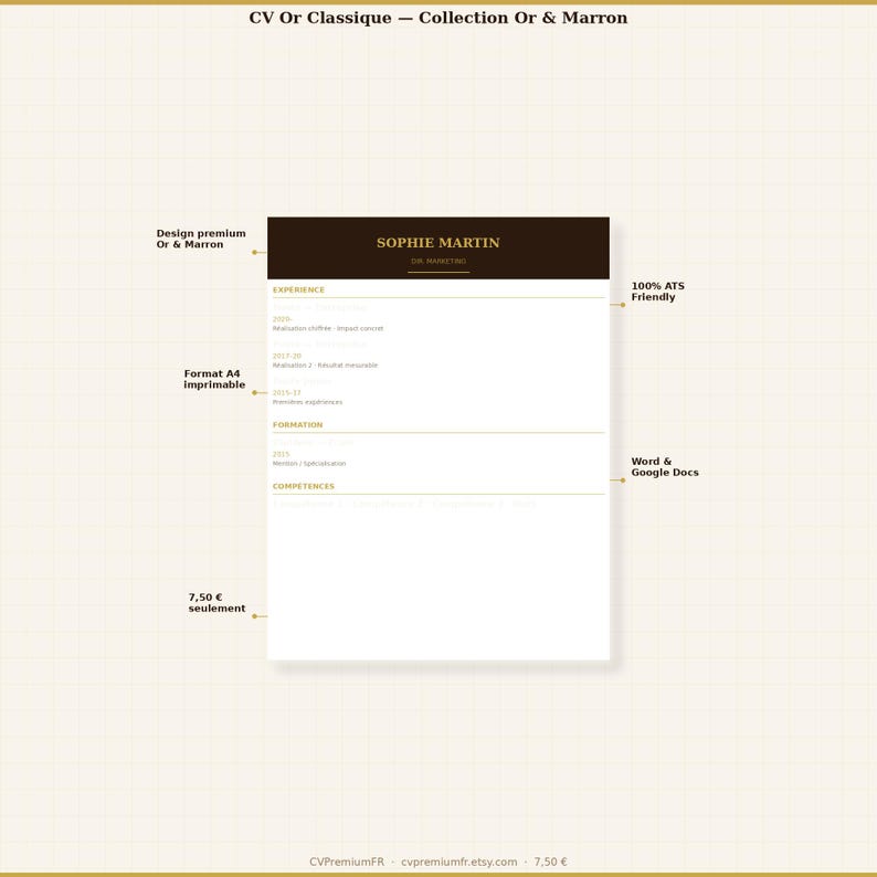 Modèle CV Word Bicolore or Marron | Template Google Docs ATS ...