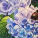 Blue Hydrangeas Watercolour Paintinghydrangeas - Etsy