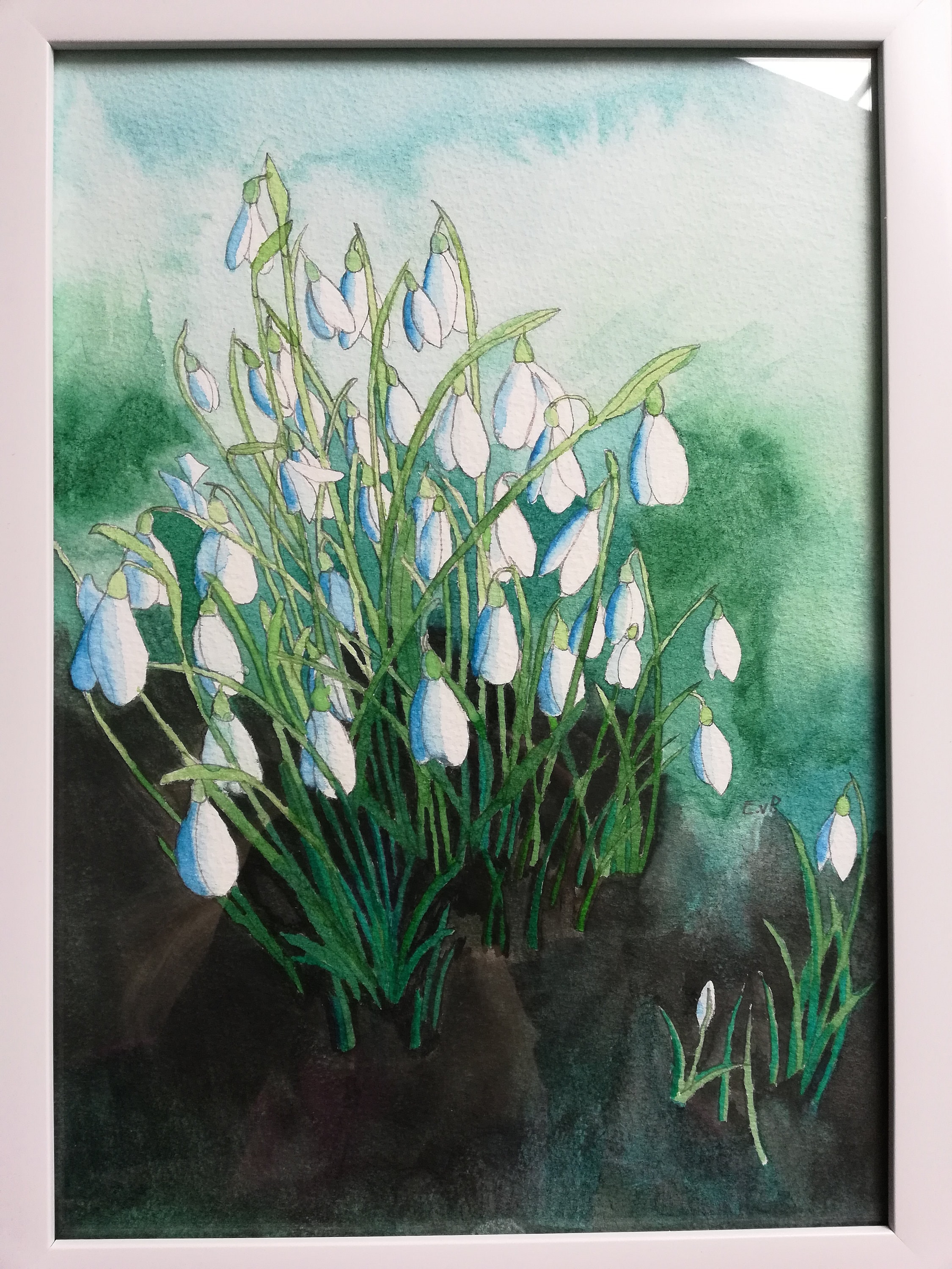 Snowdrops painting snowdrops watercolour painting snowdrops | Etsy