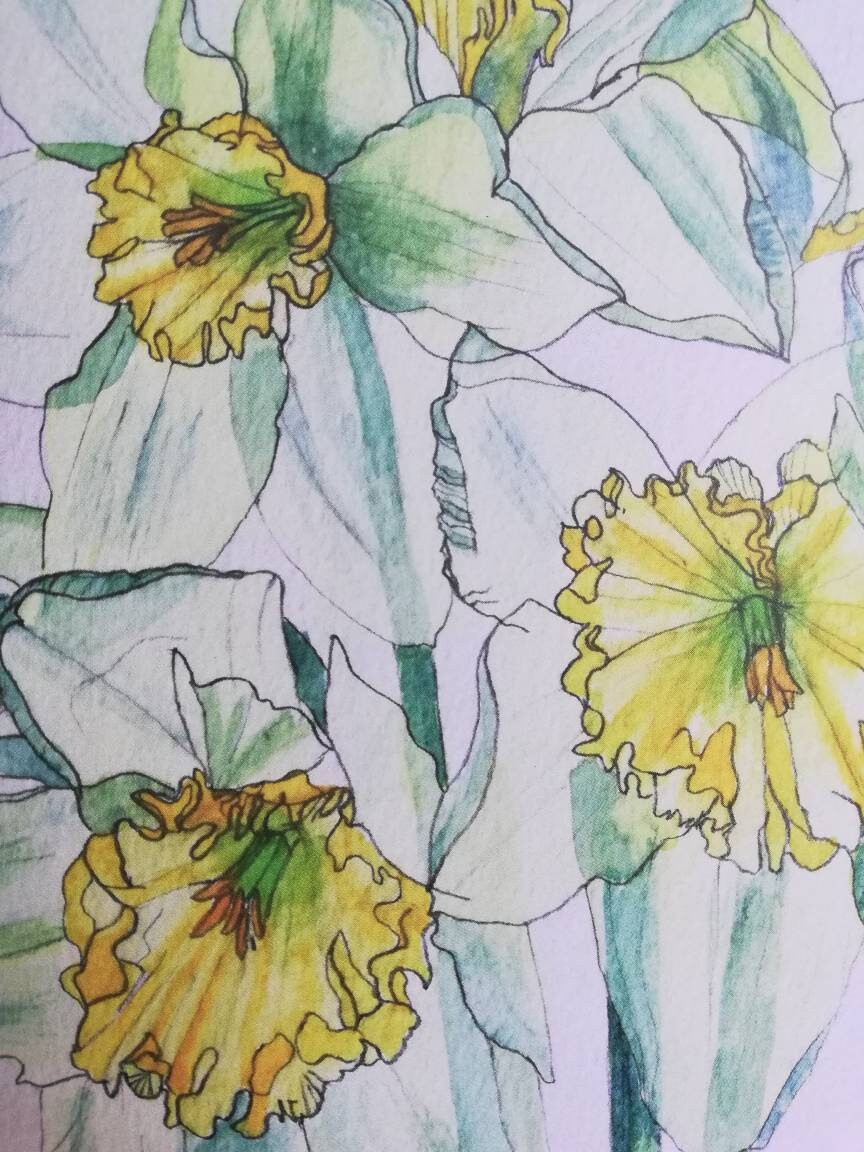Daffodils Greetings Card, Spring Flowers Greetings Card, Daffodils Card ...