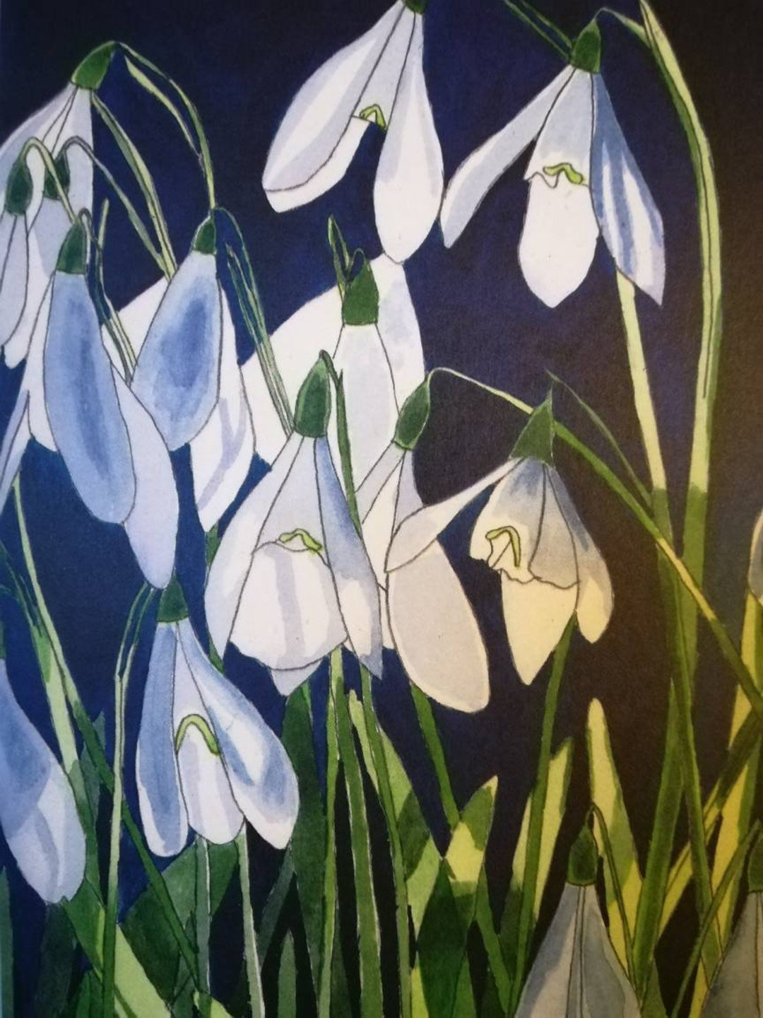 Snowdrops Postcard,snowdrops Art, Snowdrops Image,postcard of Snowdrops ...