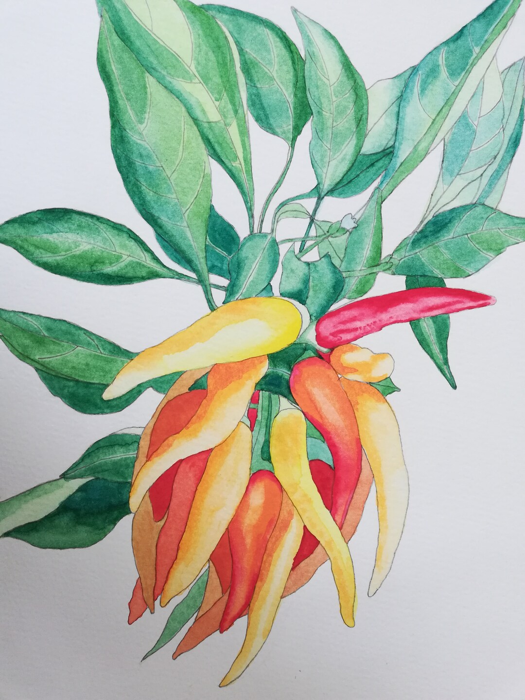 Peppers Painting, Kitchen Painting, Kitchen Wall Art, Peppers Art ...