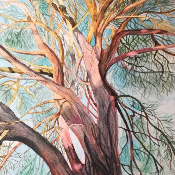 Watercolor Tree Art - Etsy
