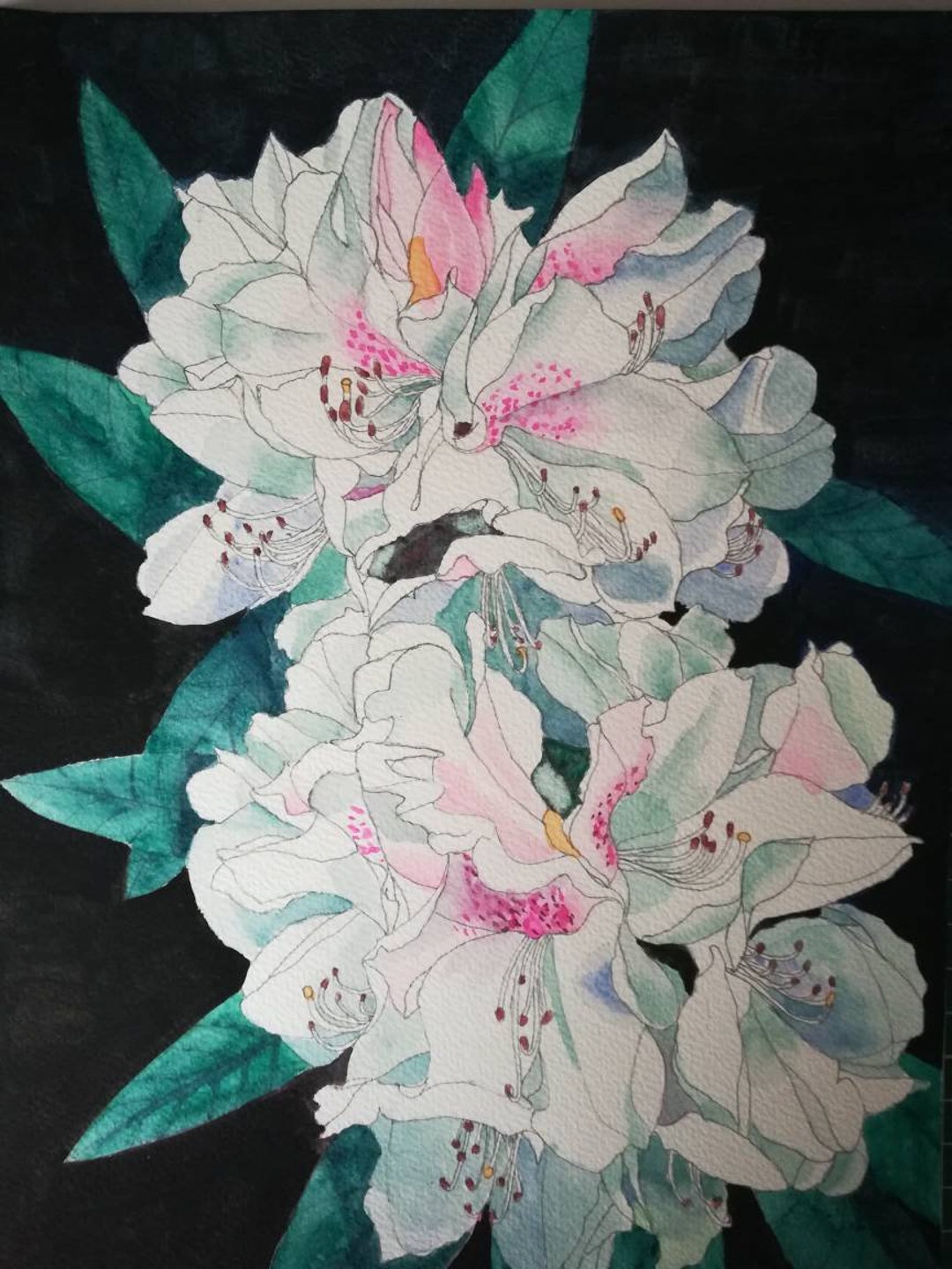 Rhododendron Flower Painting,rhododendron Artwork,rhododendron ...