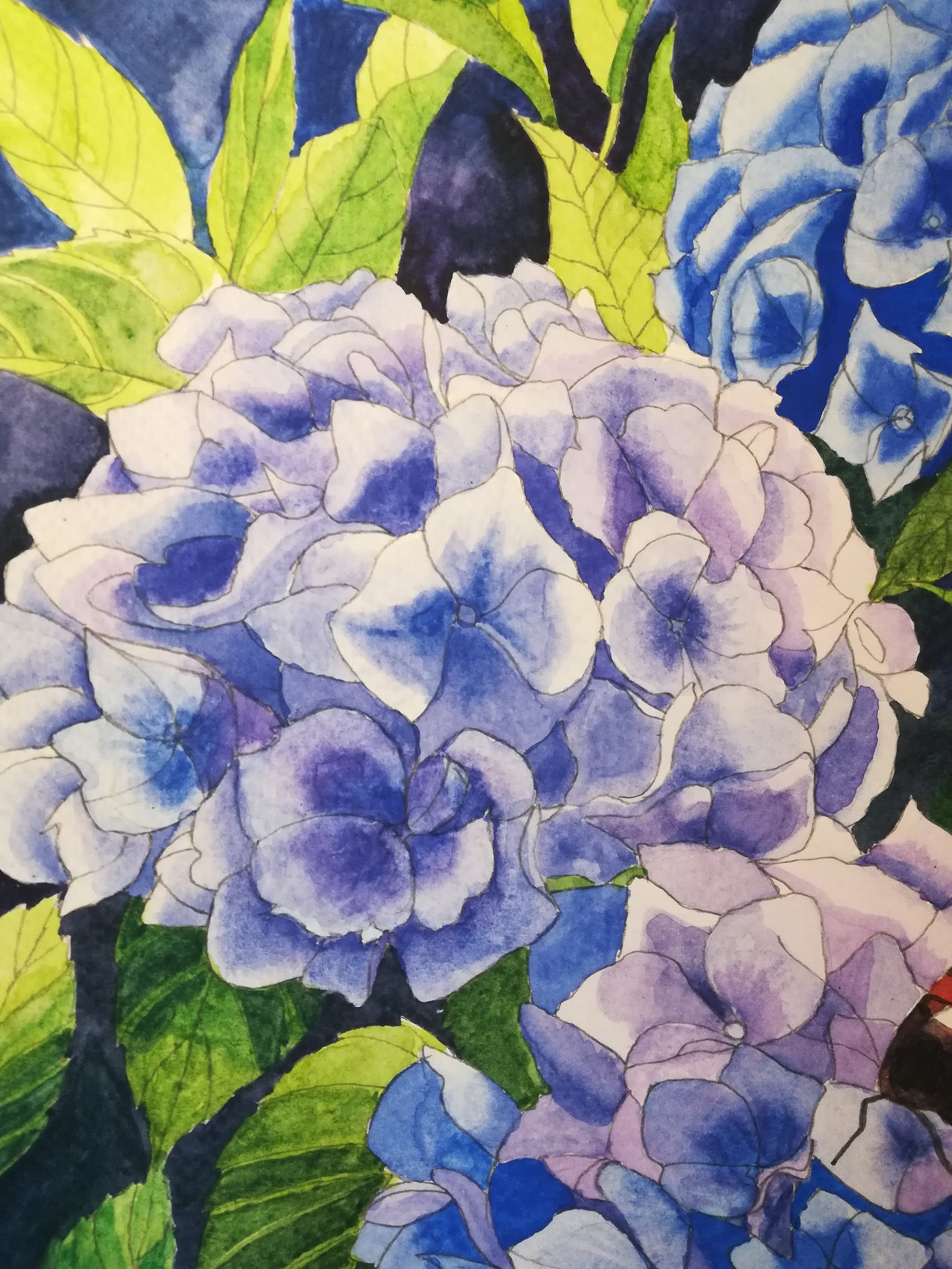Blue Hydrangeas Watercolour Painting,hydrangeas Watercolour,hydrangea ...